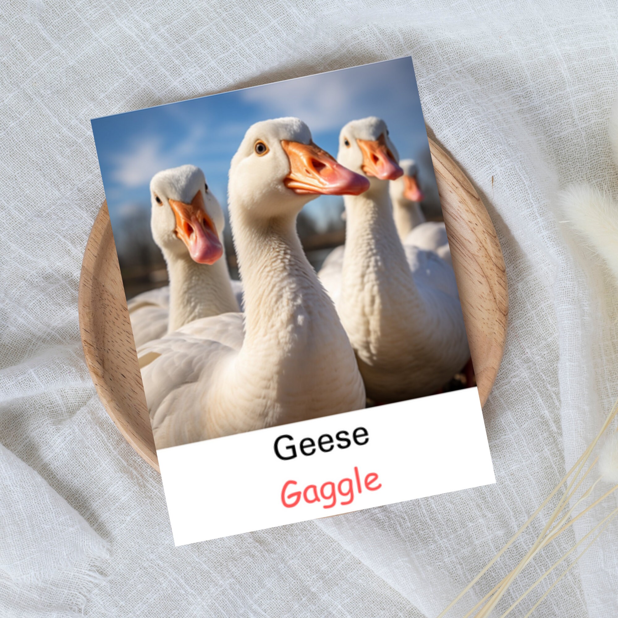 Animal Group Flashcards Educational Printable Flashcards for Kids ...