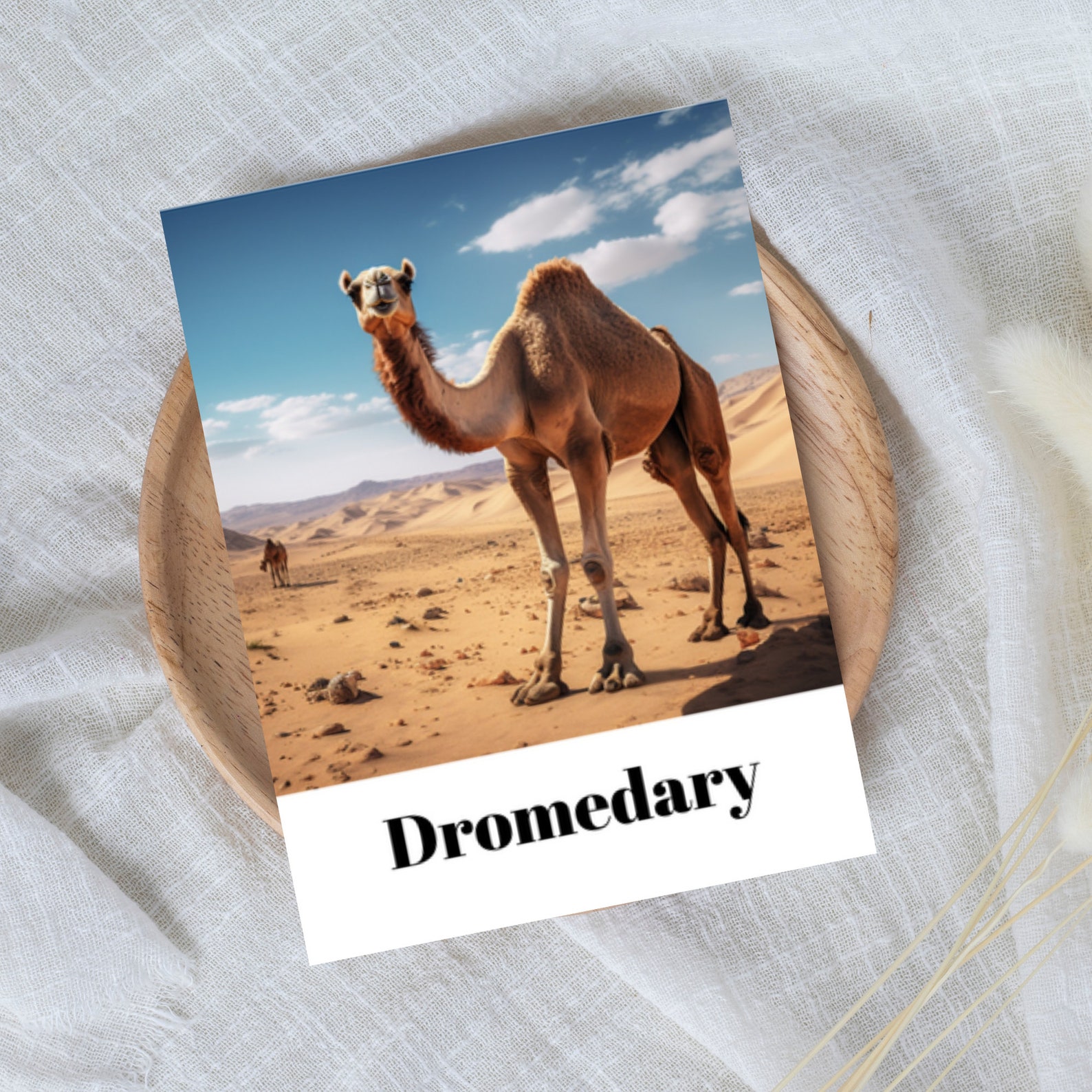 Desert Animal Flashcards Educational Printable Flashcards for Kids ...