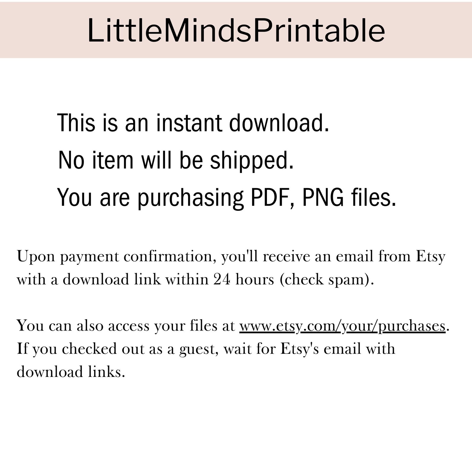 Temperate Forest Animal Printable Flash Cards Learning Tool - Etsy