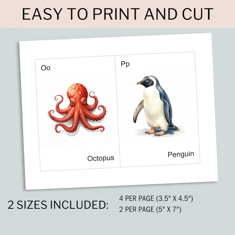 Animal Alphabet Digital Printable Flash Cards Learning Tool for ...