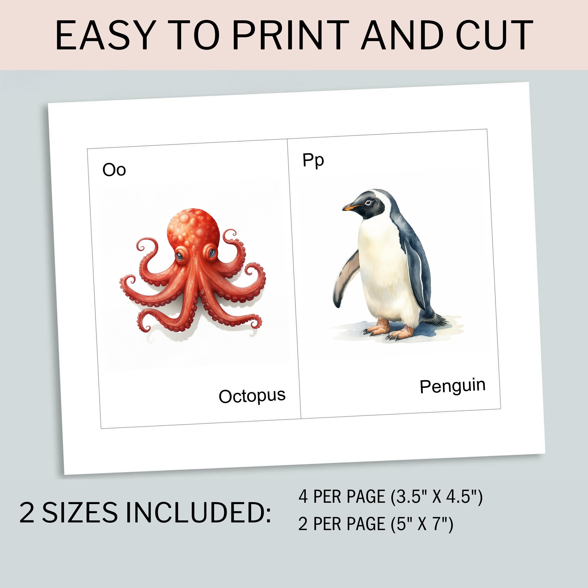 Animal Alphabet Digital Printable Flash Cards Learning Tool for ...