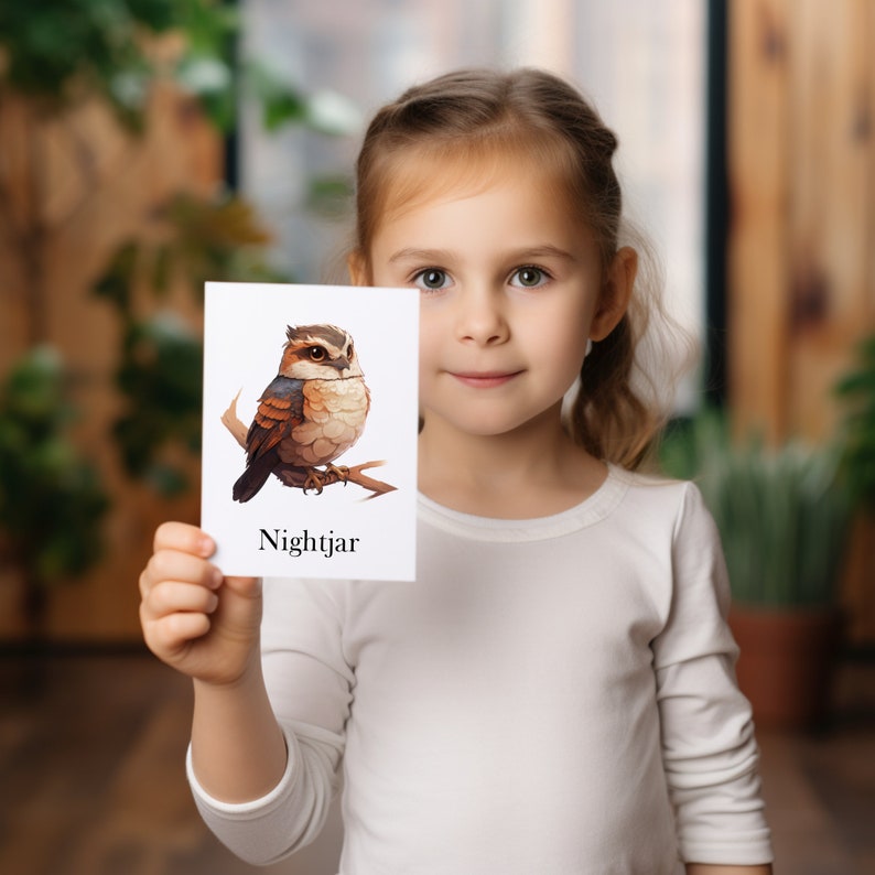 Nocturnal Animal Printable Flash Cards Learning Tool for Education ...