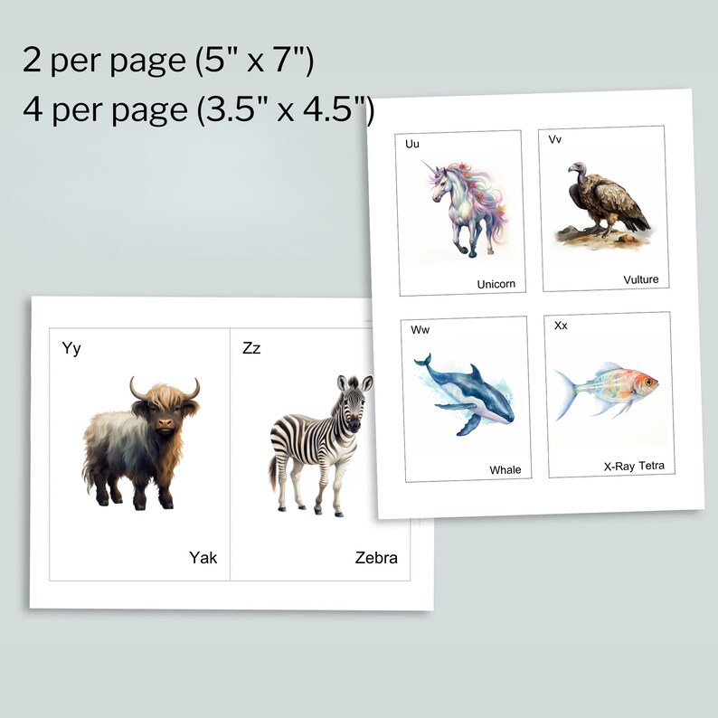 Animal Alphabet Digital Printable Flash Cards Learning Tool for ...
