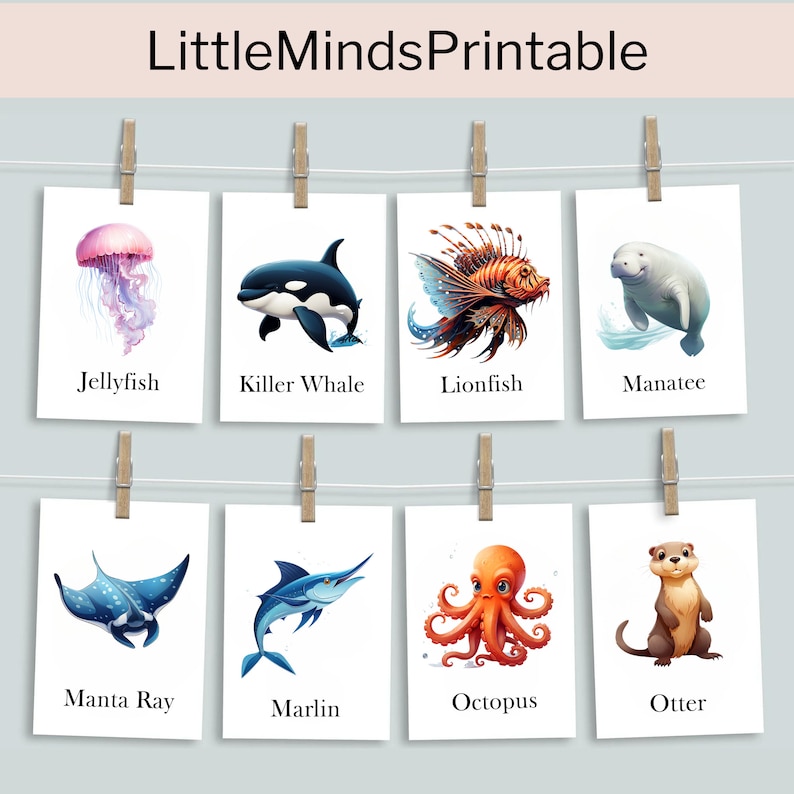 Ocean Animal Printable Flash Cards Learning Tool for Education About ...