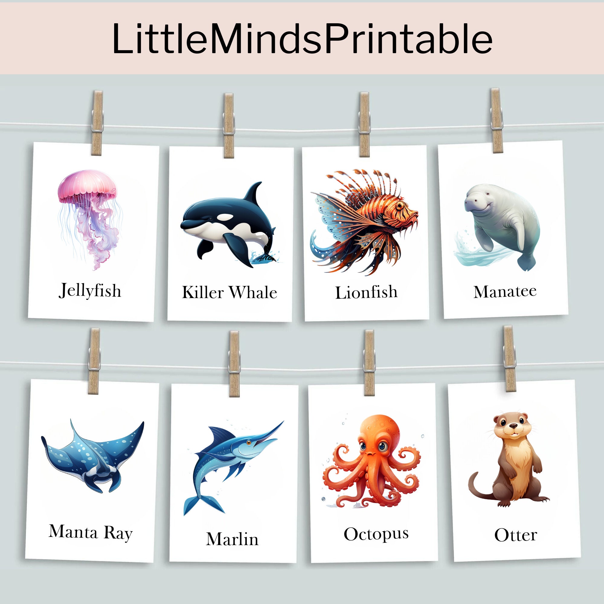Ocean Animal Printable Flash Cards Learning Tool for Education About ...