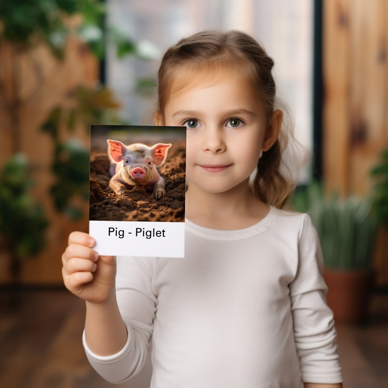 Baby Animal Flashcards Educational Printable Flashcards for - Etsy