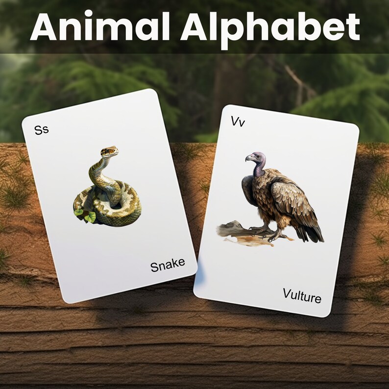 Animal Alphabet Digital Printable Flash Cards Learning Tool for ...