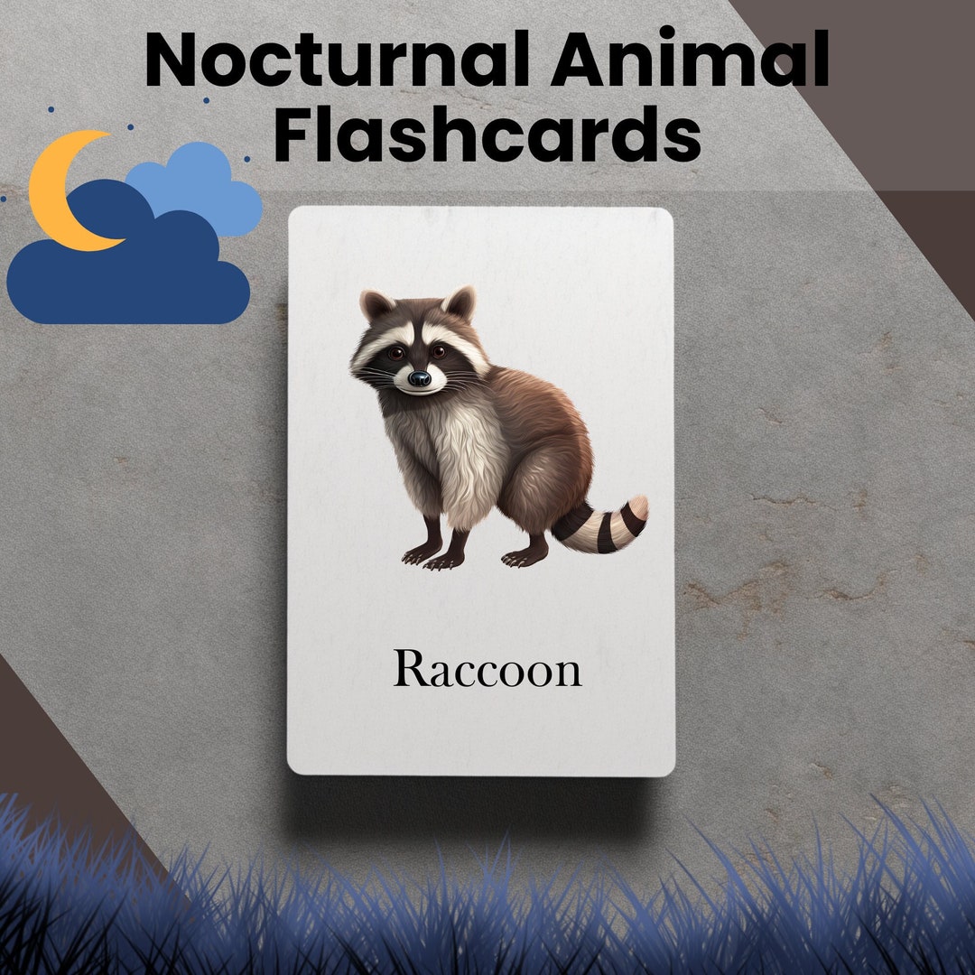 Nocturnal Animal Printable Flash Cards Learning Tool for Education ...