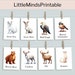 Boreal Forest Animal Printable Flash Cards Learning Tool for Education ...