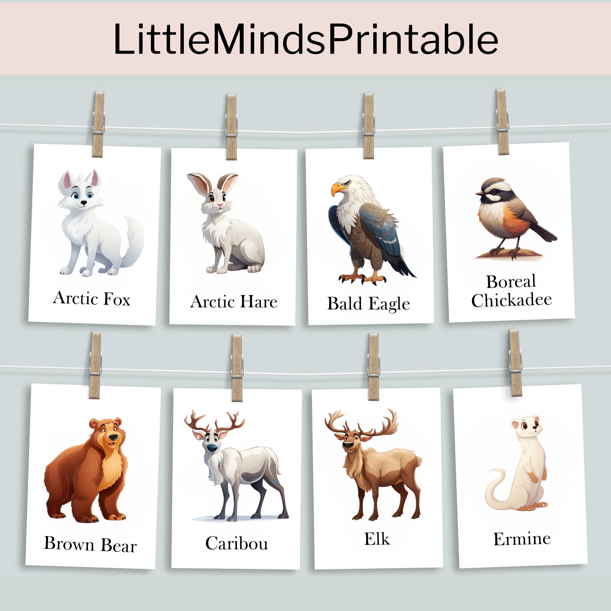 Boreal Forest Animal Printable Flash Cards Learning Tool for Education ...