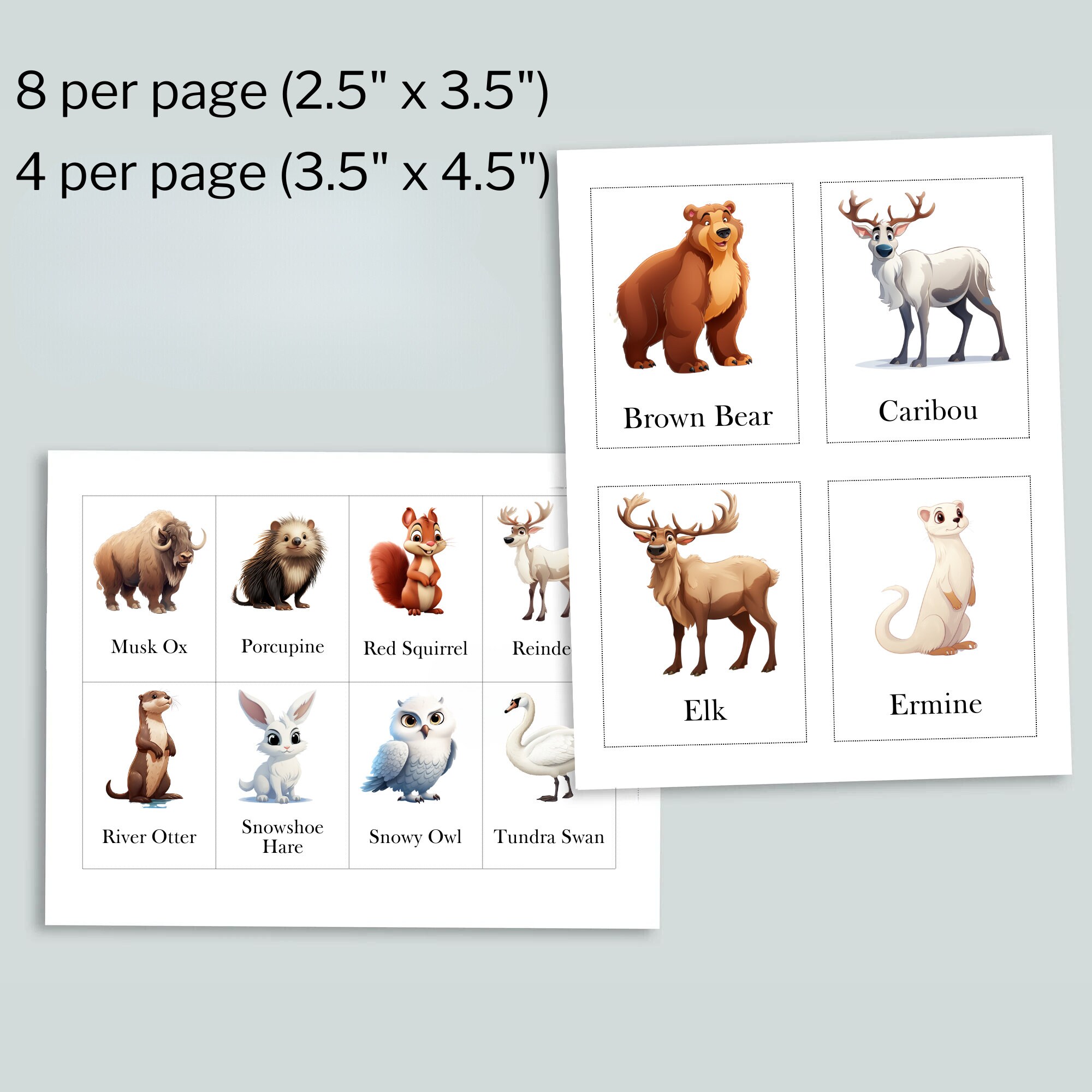 Boreal Forest Animal Printable Flash Cards Learning Tool for Education ...