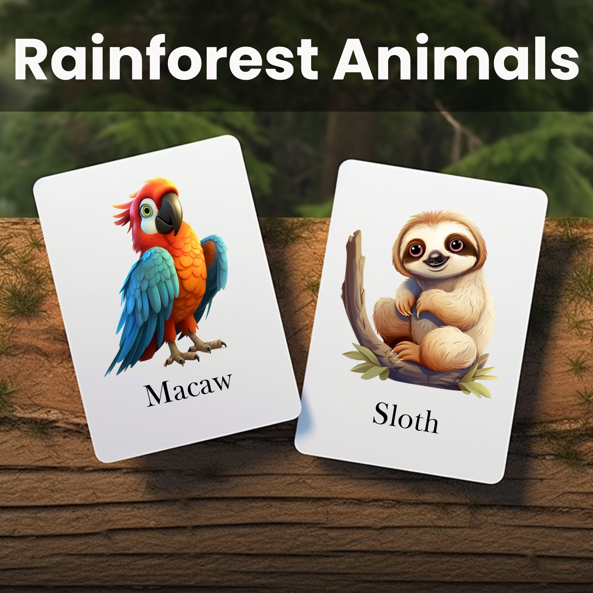 Tropical Rainforest Animal Printable Flash Cards Learning Tool for ...