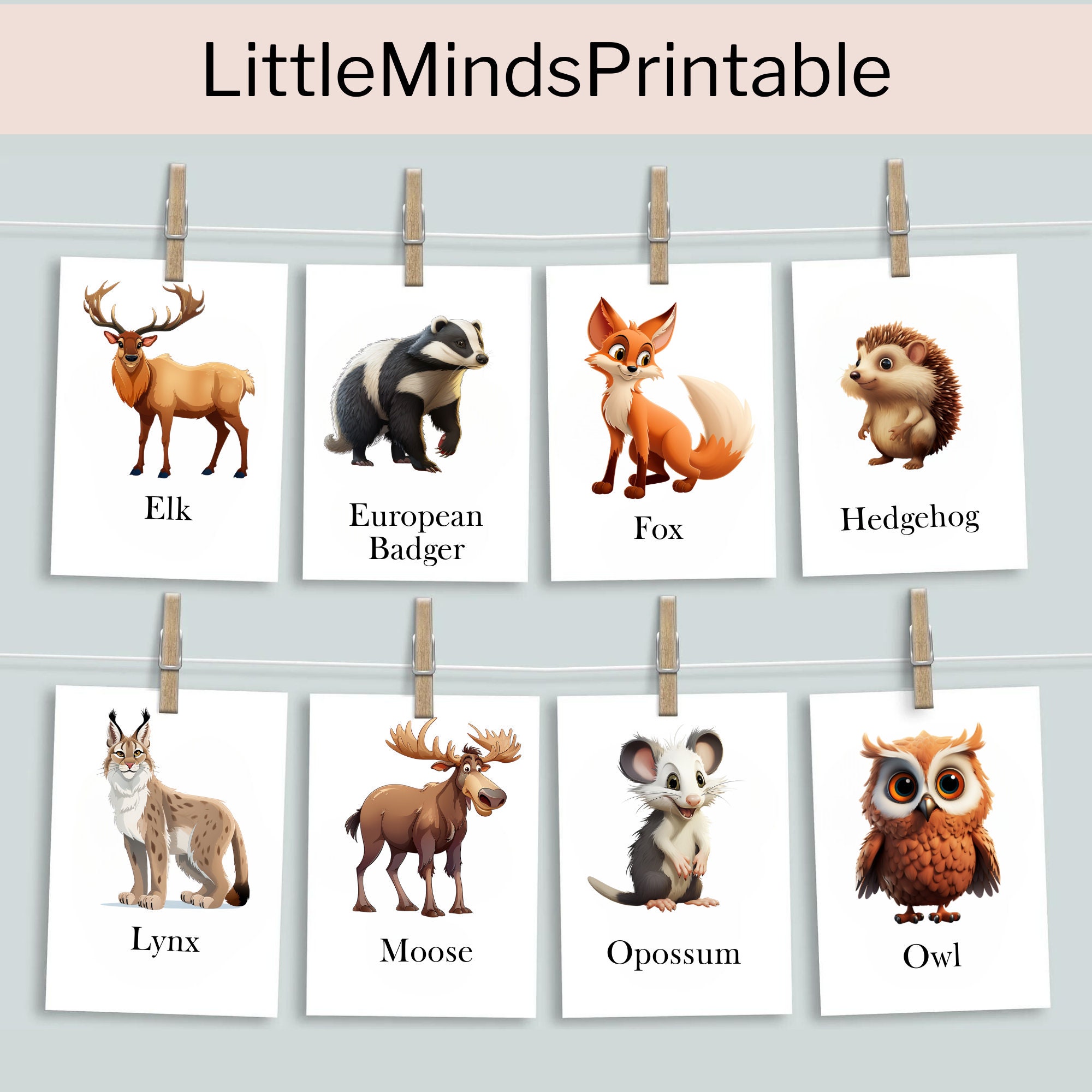 Temperate Forest Animal Printable Flash Cards Learning Tool - Etsy