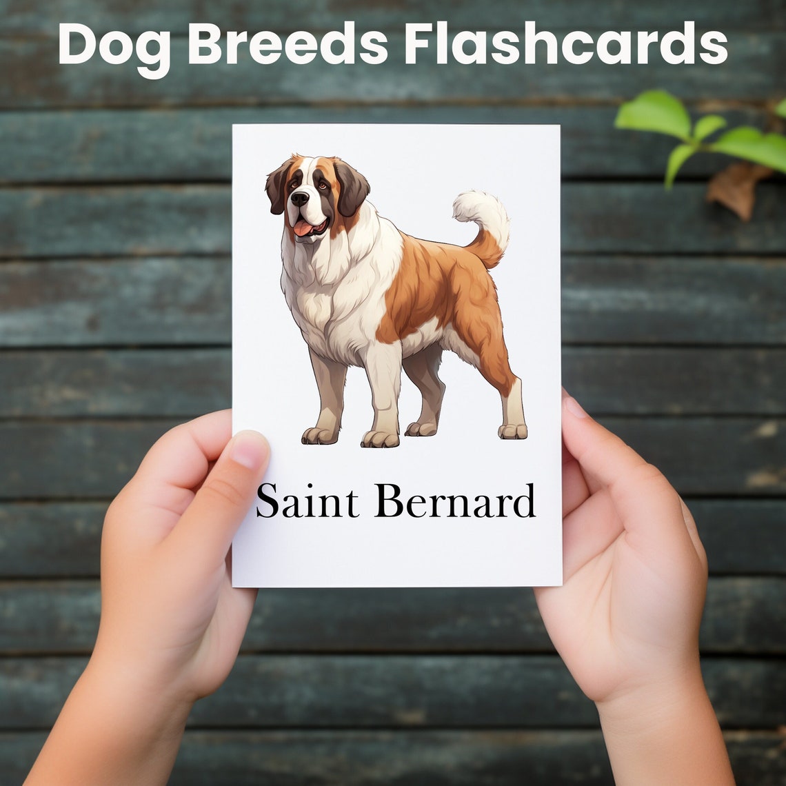 Dog Breeds Printable Flash Cards Learning Tool for Education About Fun ...