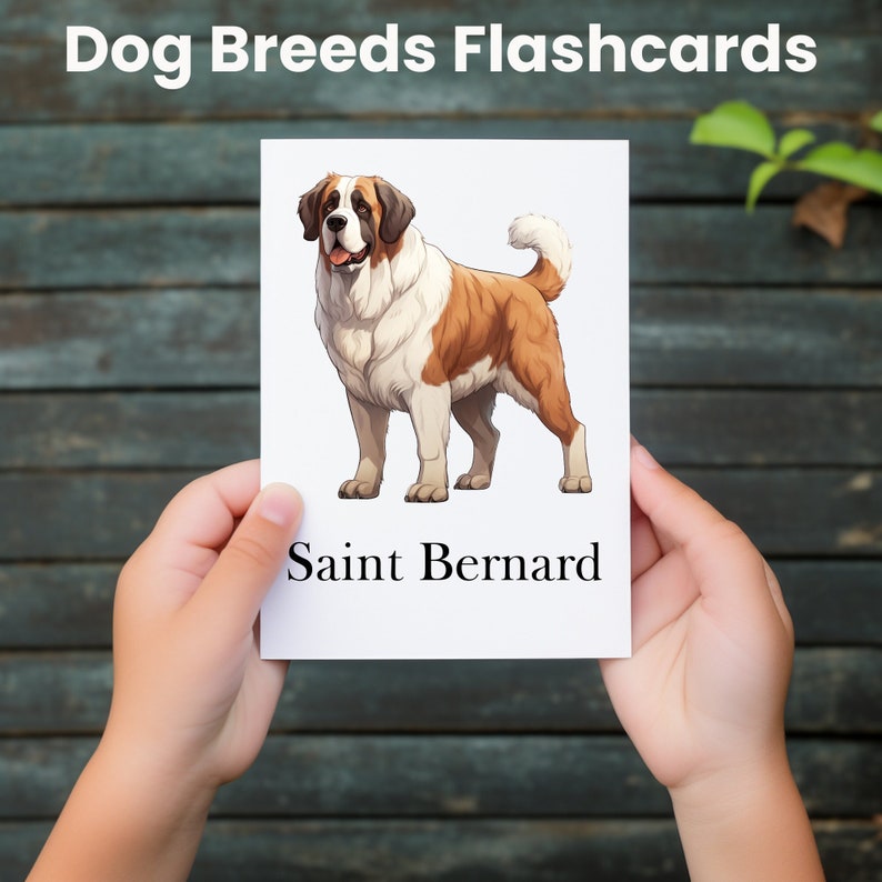 Dog Breeds Printable Flash Cards Learning Tool for Education About Fun ...