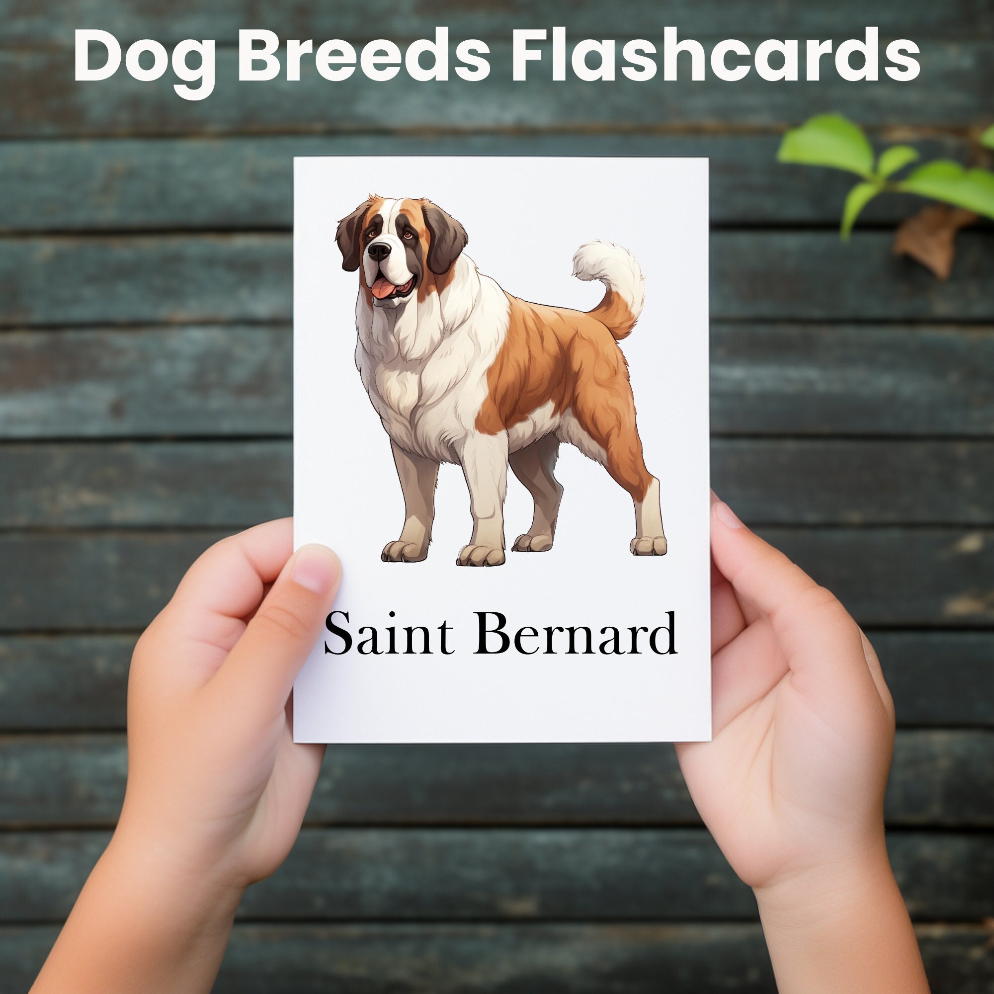 Dog Breeds Printable Flash Cards Learning Tool for Education About Fun ...