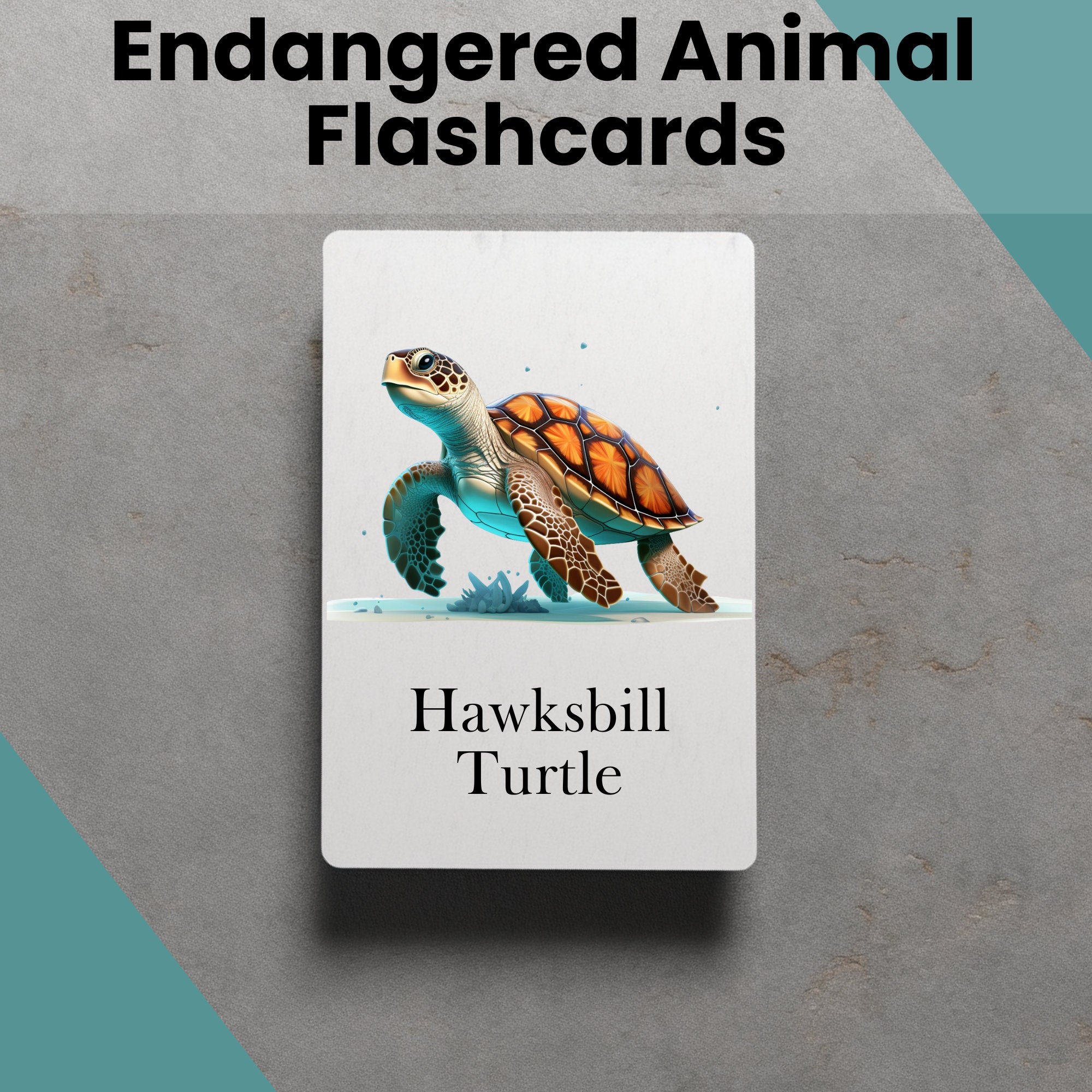 Endangered Printable Flash Cards Learning Tool for Education About Fun ...