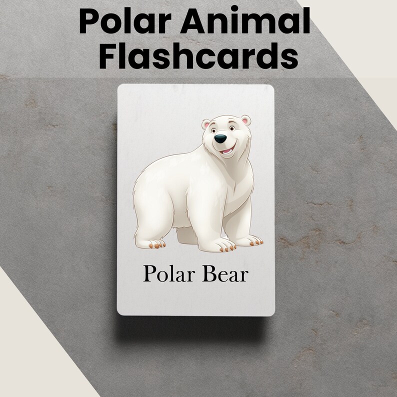 Polar Animal Printable Flash Cards Learning Tool for Education About ...