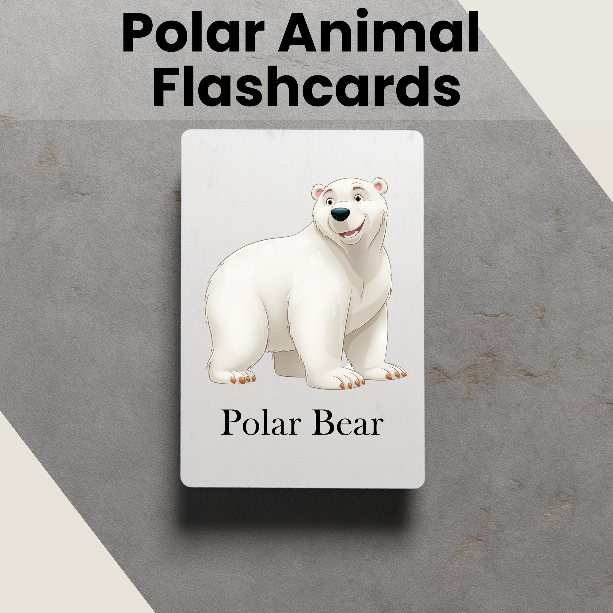 Polar Animal Printable Flash Cards Learning Tool for Education About ...