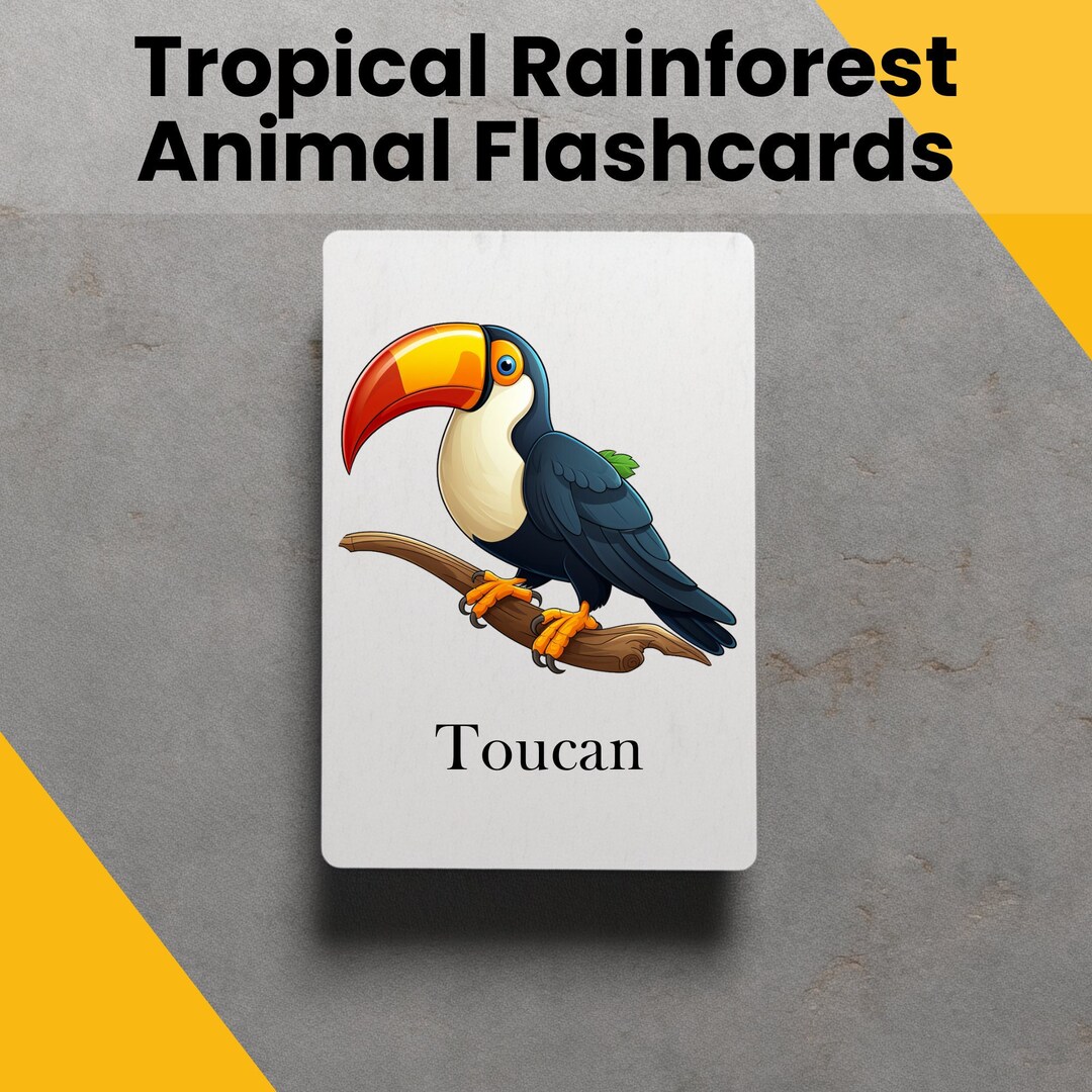 Tropical Rainforest Animal Printable Flash Cards Learning Tool for ...
