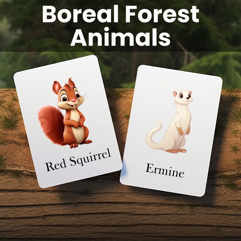 Boreal Forest Animal Printable Flash Cards Learning Tool for Education ...