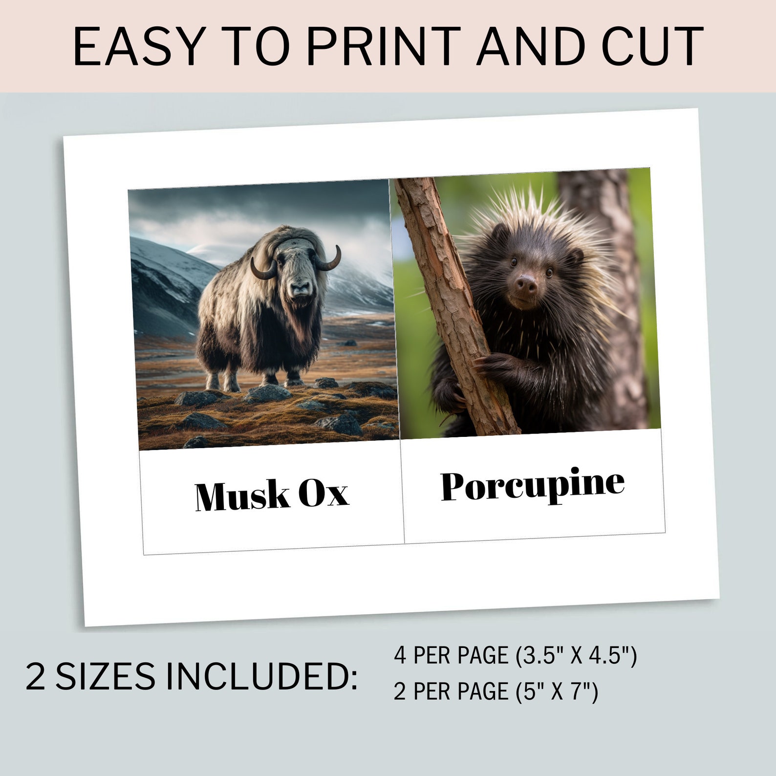 Boreal Forest Animal Flashcards Printable for Kids Animal Forest ...