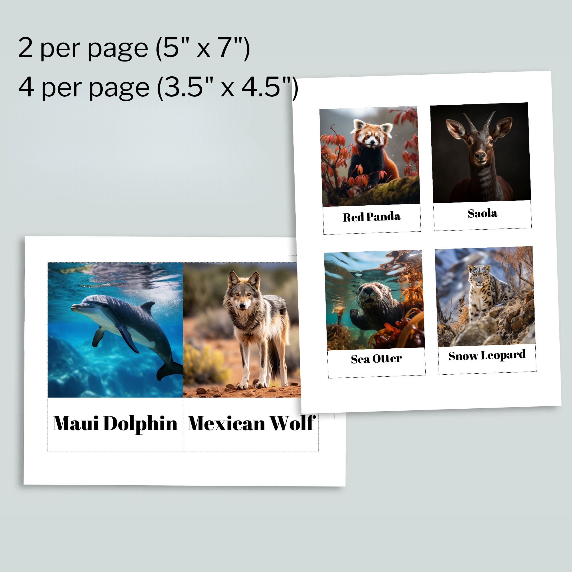 Endangered Animal Flashcardseducational Printable Flashcards for Kids ...