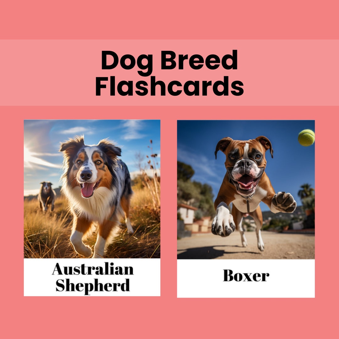 Dog Breeds Flashcards Educational Printable Flashcards for Kids ...