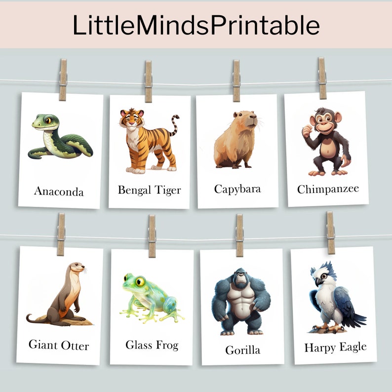 Tropical Rainforest Animal Printable Flash Cards Learning Tool for ...