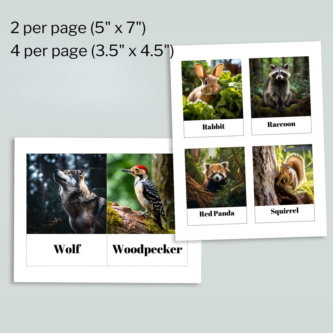 Temperate Forest Printable Animal Flashcards for Kids Printable Animal ...