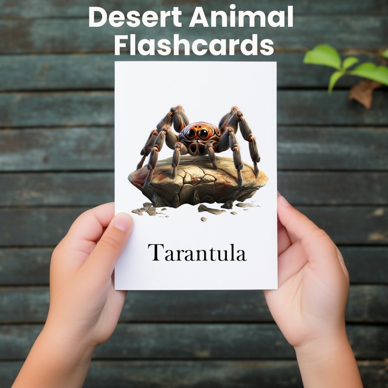 Desert Animal Printable Flash Cards Learning Tool for Education About ...