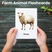 Farm Animal Digital Printable Flash Cards Learning Tool for - Etsy