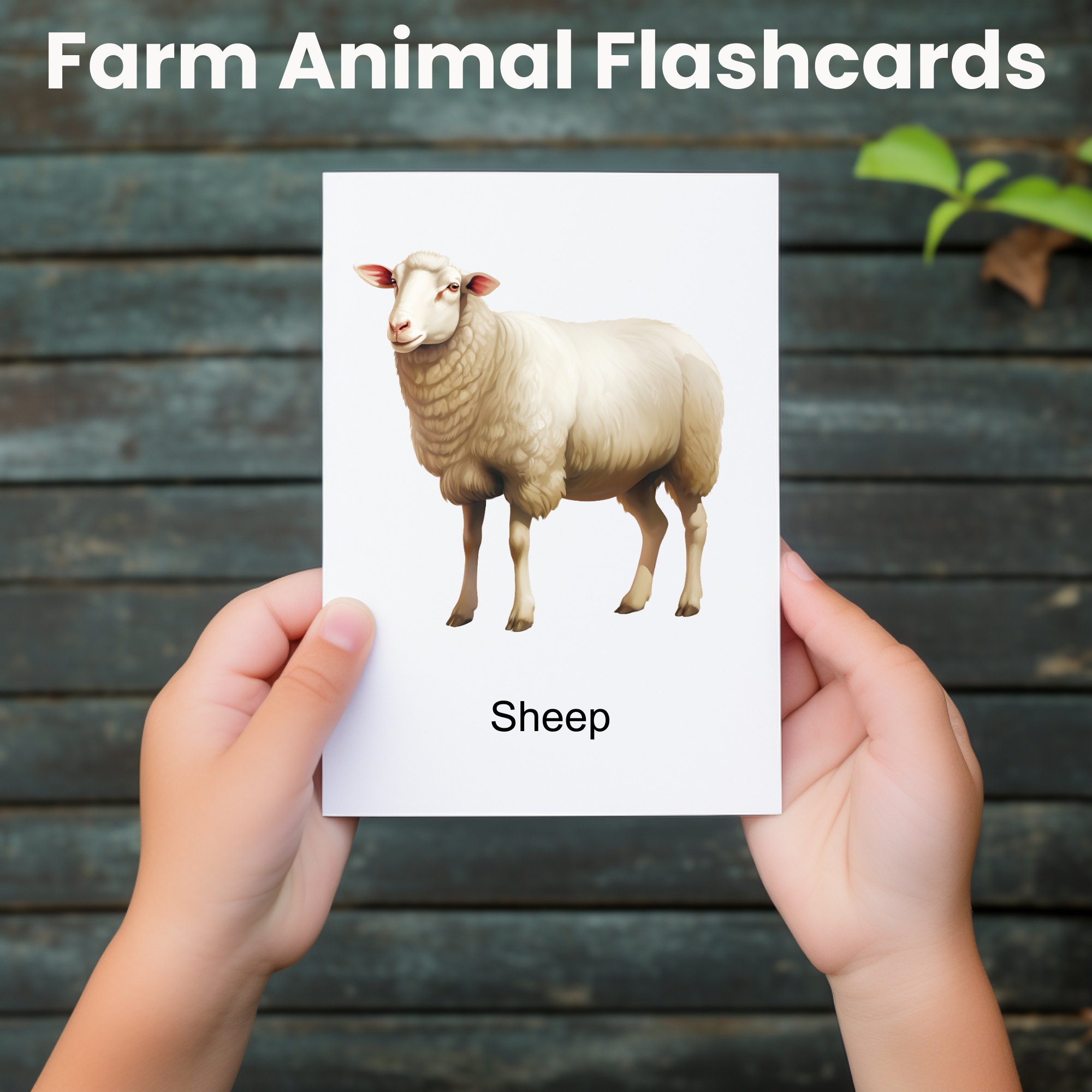 Farm Animal Digital Printable Flash Cards Learning Tool for - Etsy