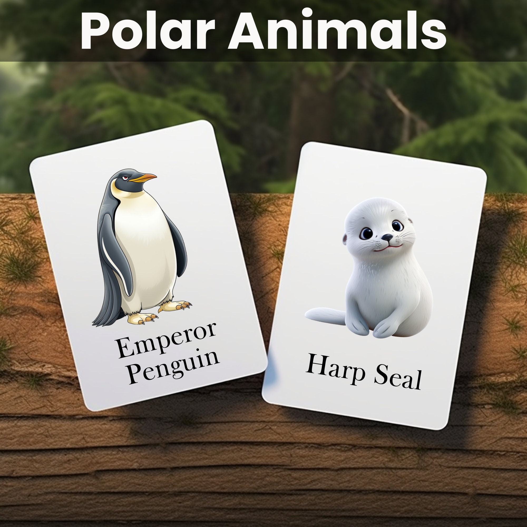 Polar Animal Printable Flash Cards Learning Tool for Education About ...
