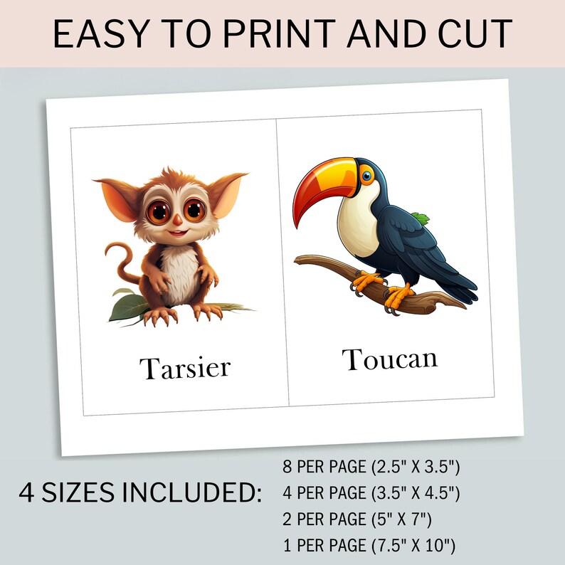 Tropical Rainforest Animal Printable Flash Cards Learning Tool for ...