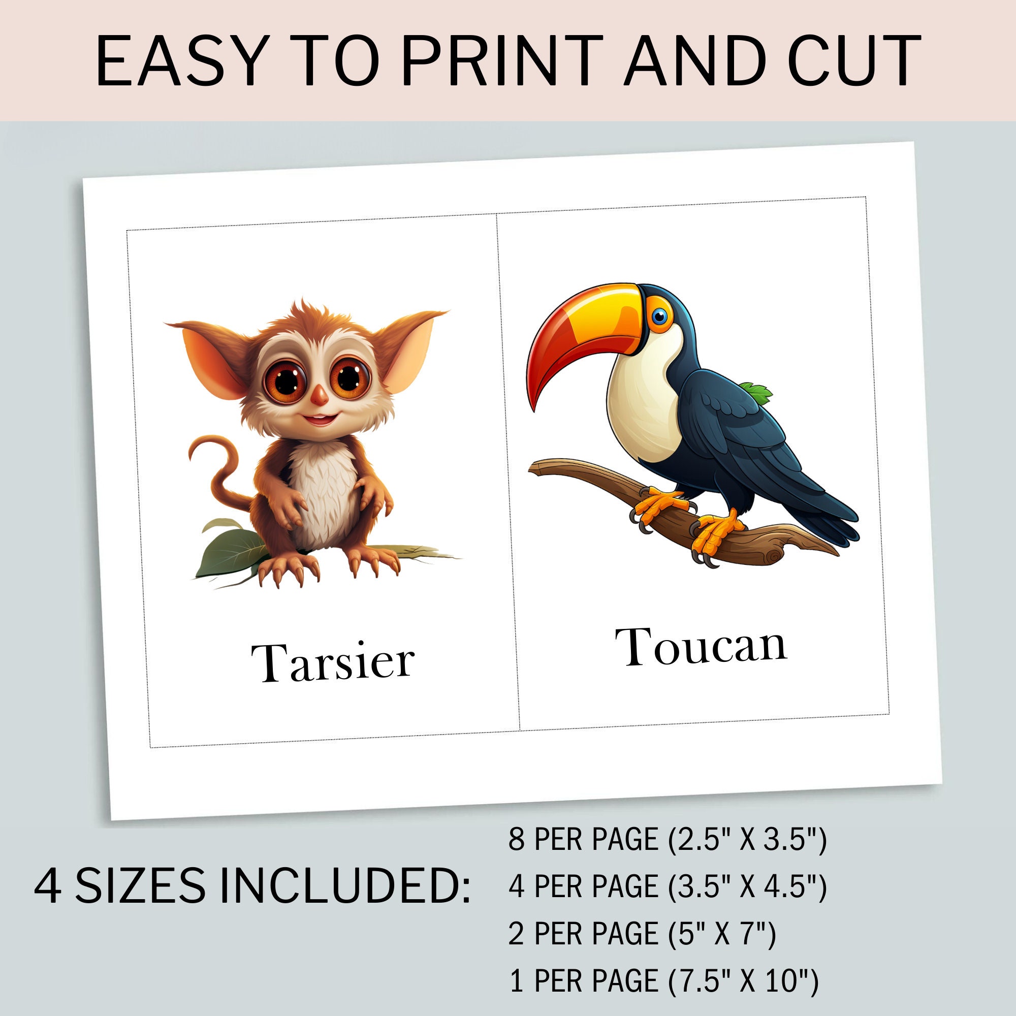 Tropical Rainforest Animal Printable Flash Cards Learning Tool for ...