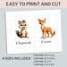 Temperate Forest Animal Printable Flash Cards Learning Tool for ...