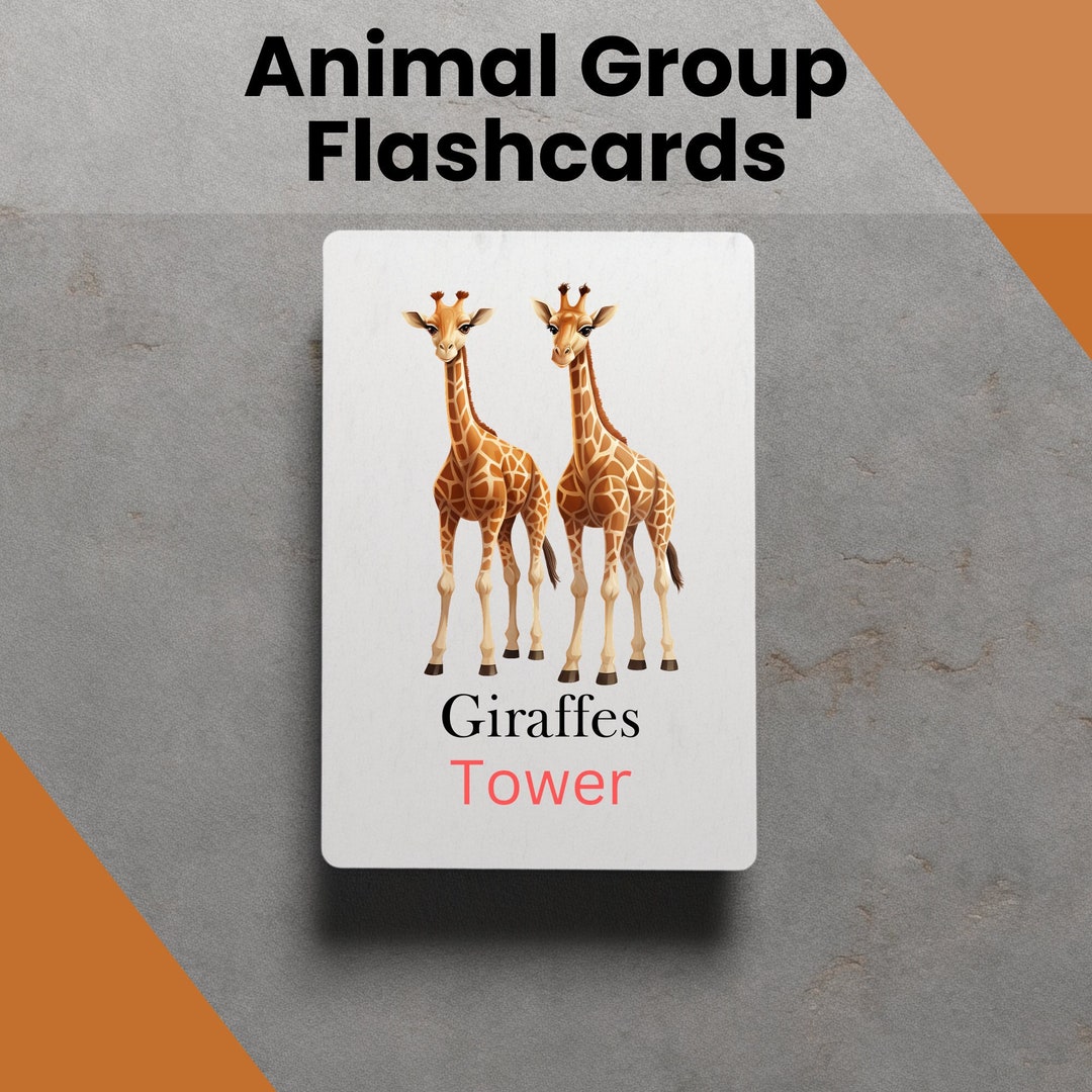 Animal Group Name Printable Flash Cards Learning Tool for Education ...