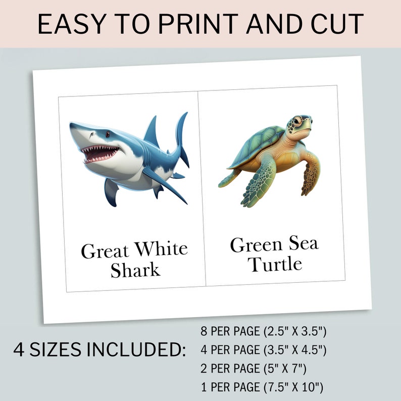 Ocean Animal Printable Flash Cards Learning Tool for Education About ...