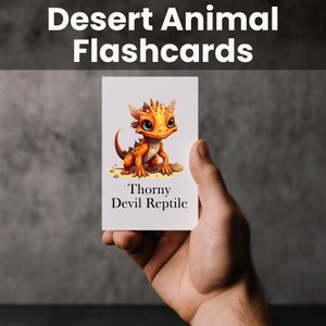 Desert Animal Printable Flash Cards Learning Tool for Education About ...