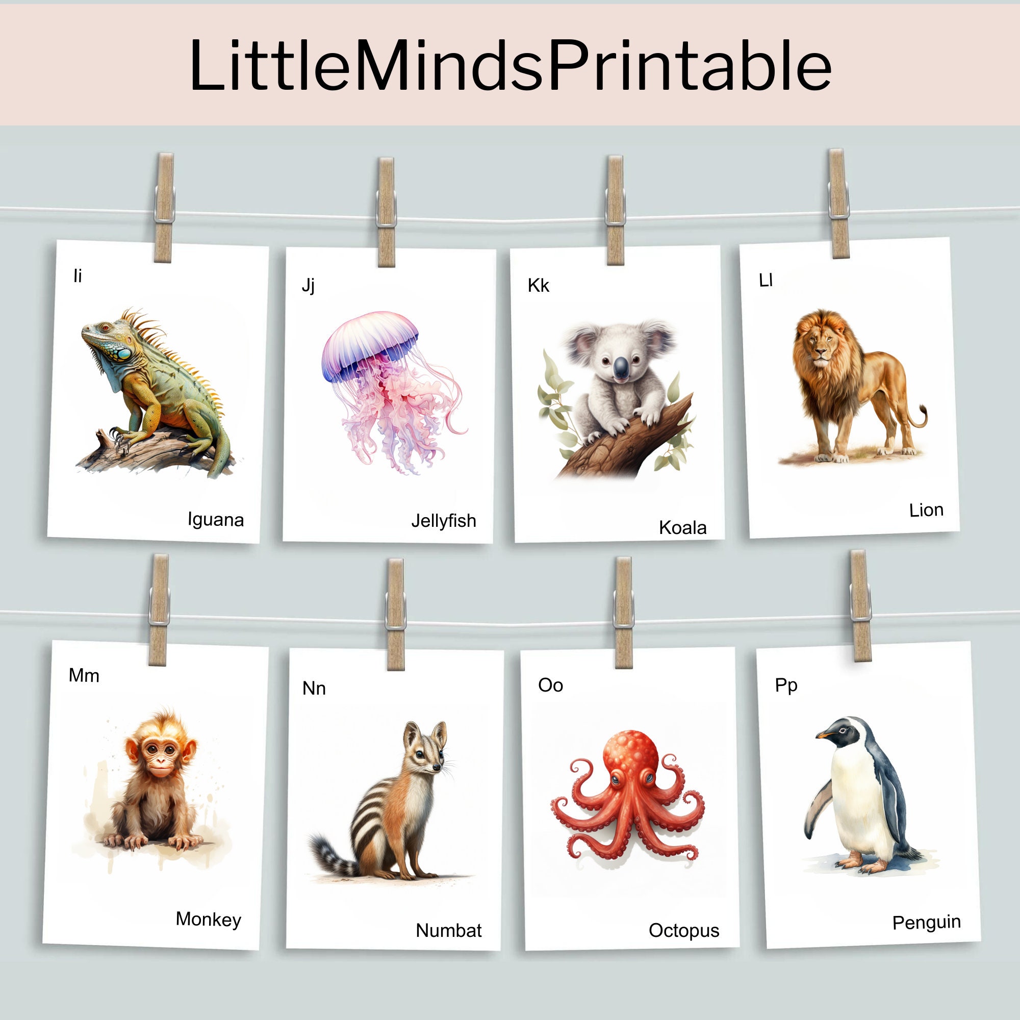 Animal Alphabet Digital Printable Flash Cards Learning Tool for ...