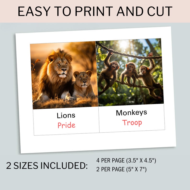 Animal Group Flashcards Educational Printable Flashcards for Kids ...