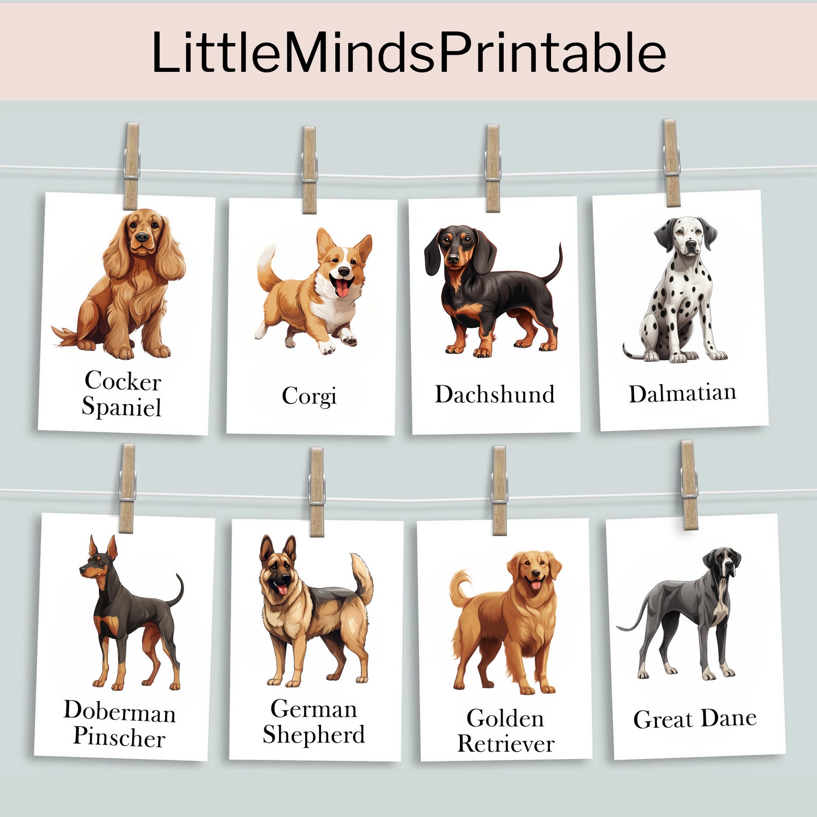 Dog Breeds Printable Flash Cards Learning Tool for Education About Fun ...