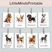 Dog Breeds Printable Flash Cards Learning Tool for Education About Fun ...