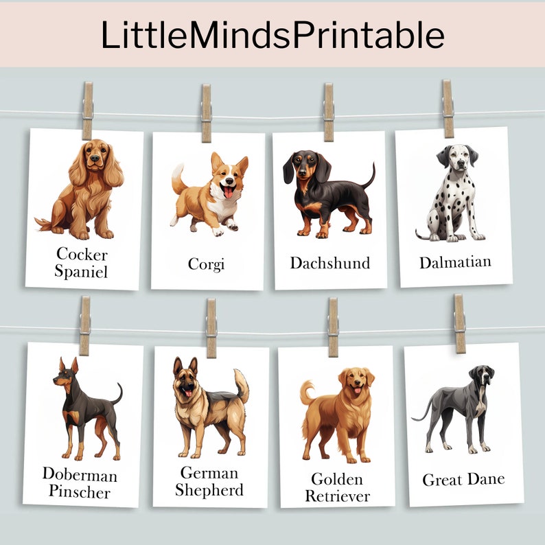 Dog Breeds Printable Flash Cards Learning Tool for Education About Fun ...