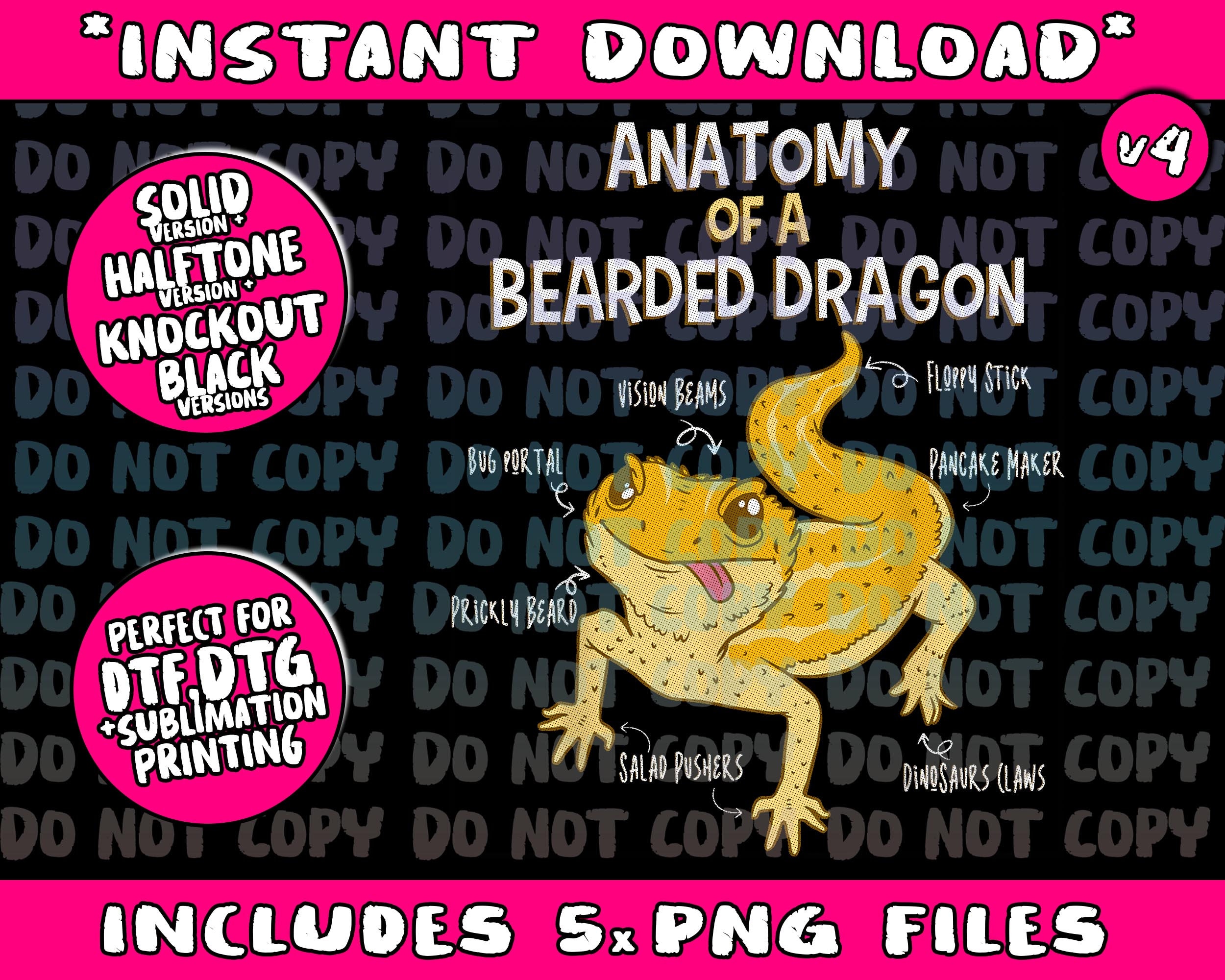 Anatomy of A Bearded Dragon Lizard Funny Bearded Dragon Png Bundle ...