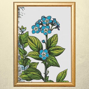 Forget Me Not Cross Stitch Pattern PDF | Delicate Blue Flower ...