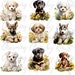 Puppy Clipart Bundle, Cute Puppy Clipart, Dogs Clipart, Watercolor Cute ...