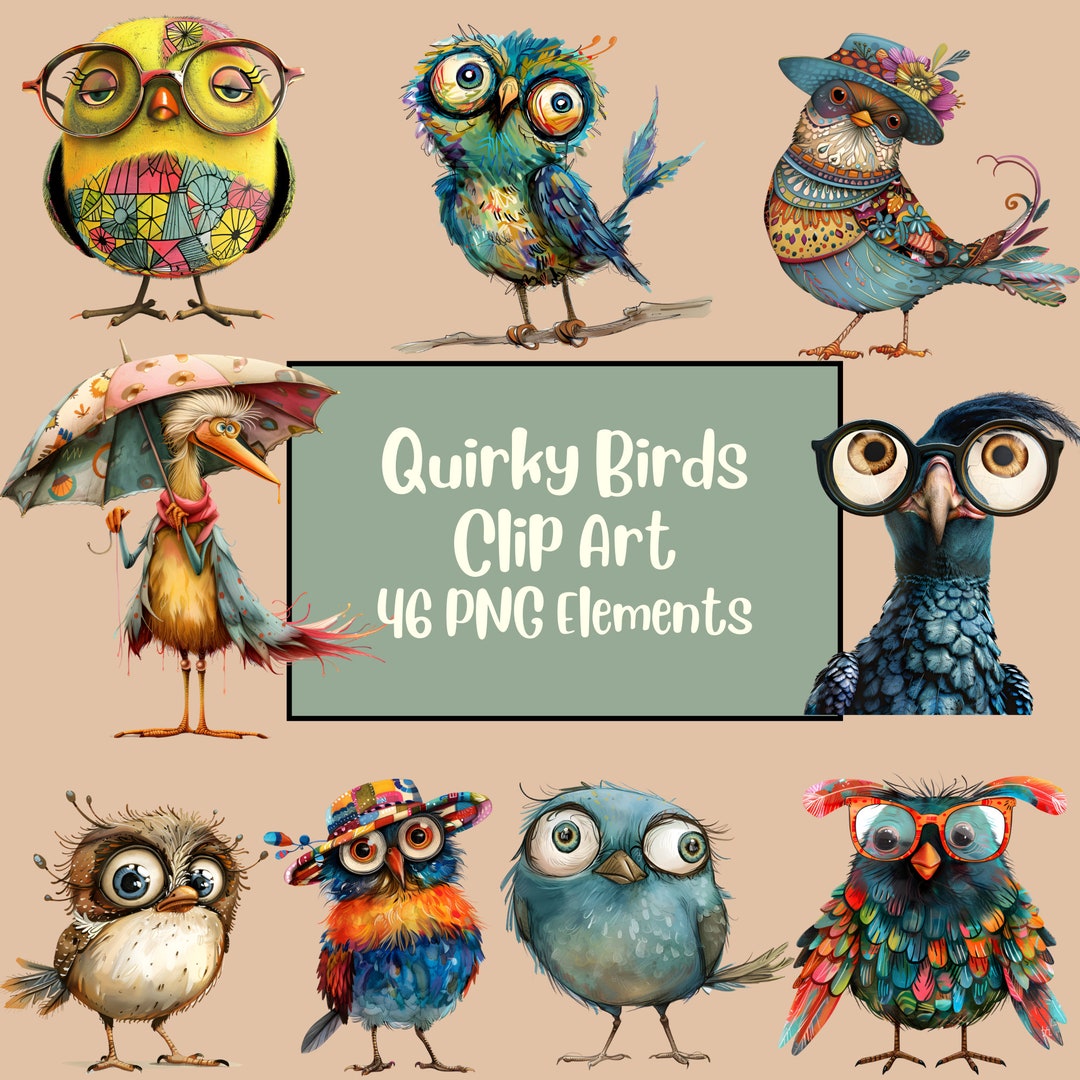 Quirky Bird Clipart | Funny Bird Png | Cute Caricature Birds | Bird ...