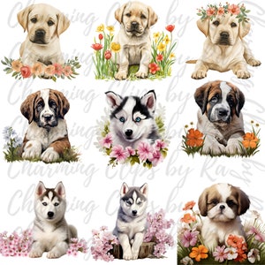 Puppy Clipart Bundle, Cute Puppy Clipart, Dogs Clipart, Watercolor Cute ...